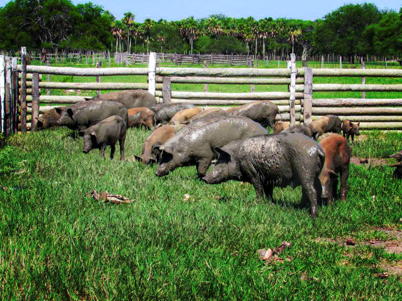 Galería de Imágenes – CERCRI